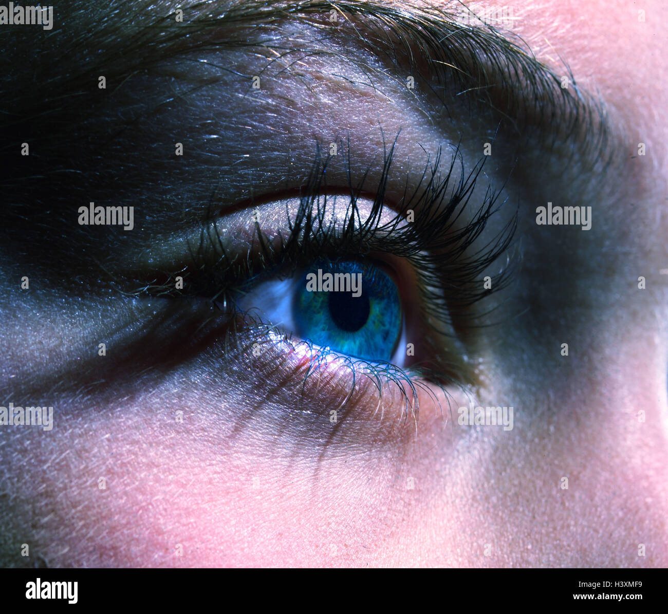 Woman, look, eye, close up, young, eye area, blue eyes, view, senses ...