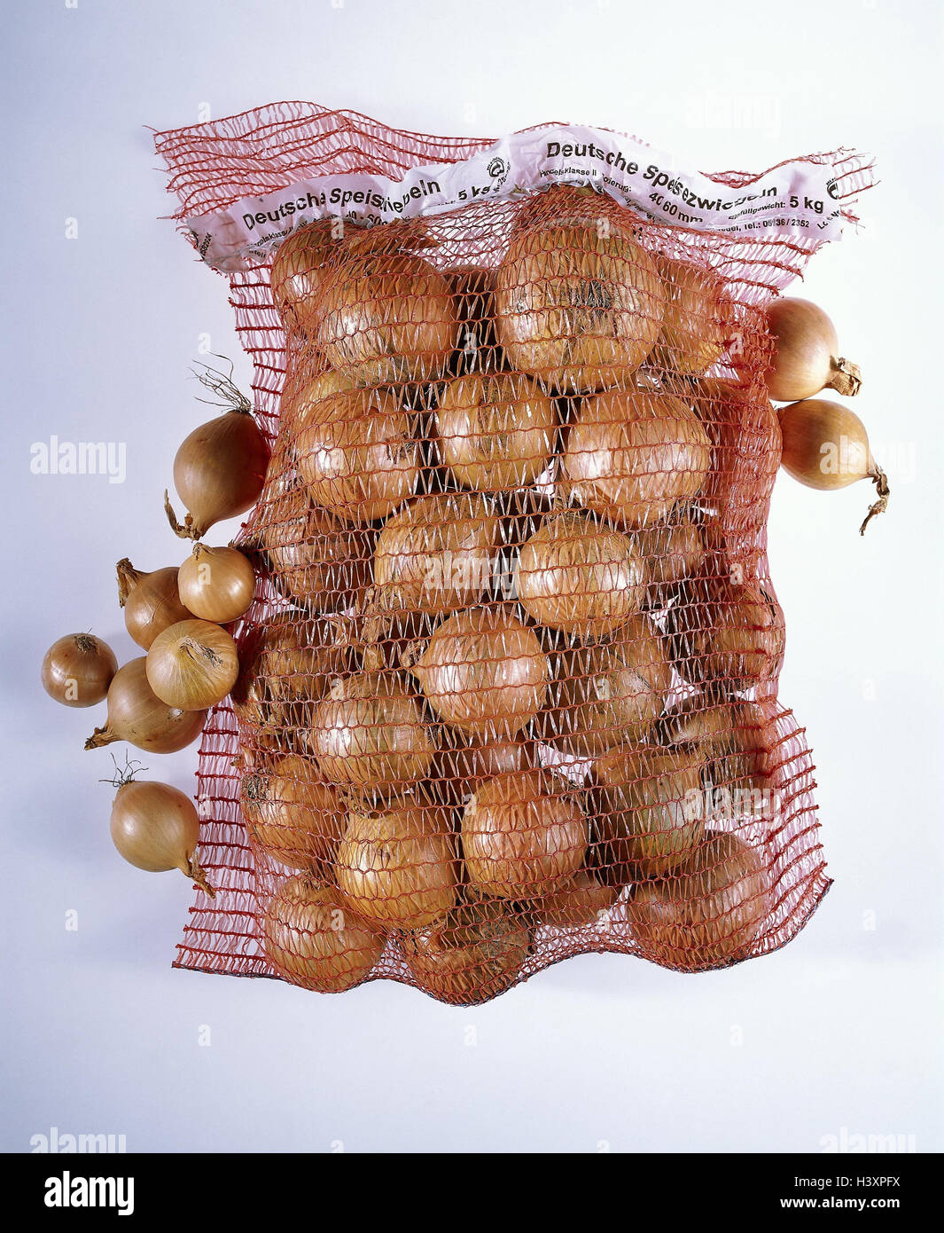 Bulbs, Allium spec., saccules, German food bulbs, leek kind, Zipolle ...