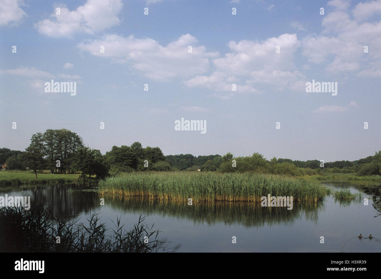 Germany, Lower Saxony, close Scheeßel, scenery, river Wümme, Europe ...
