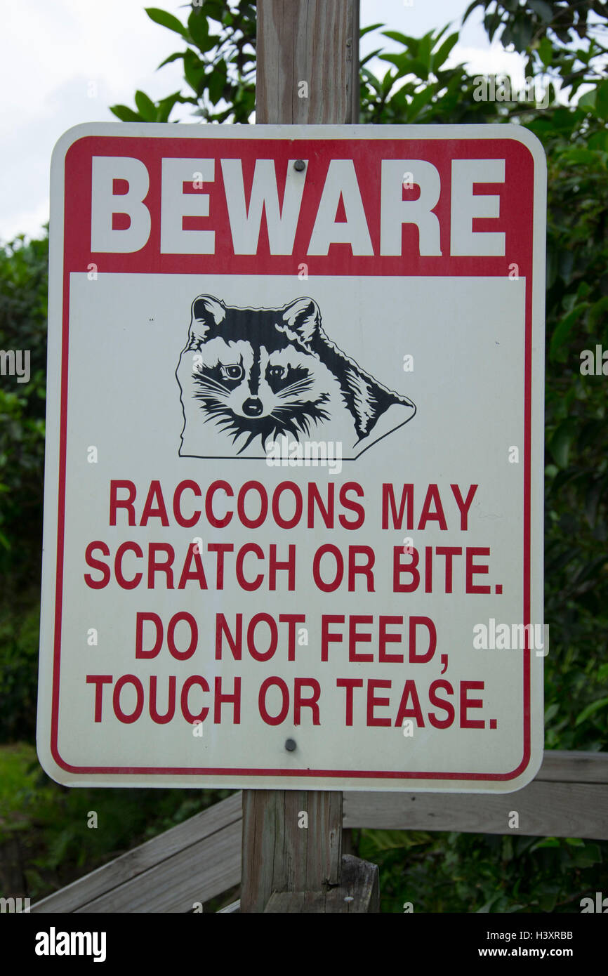 beware of racoons sign Stock Photo - Alamy