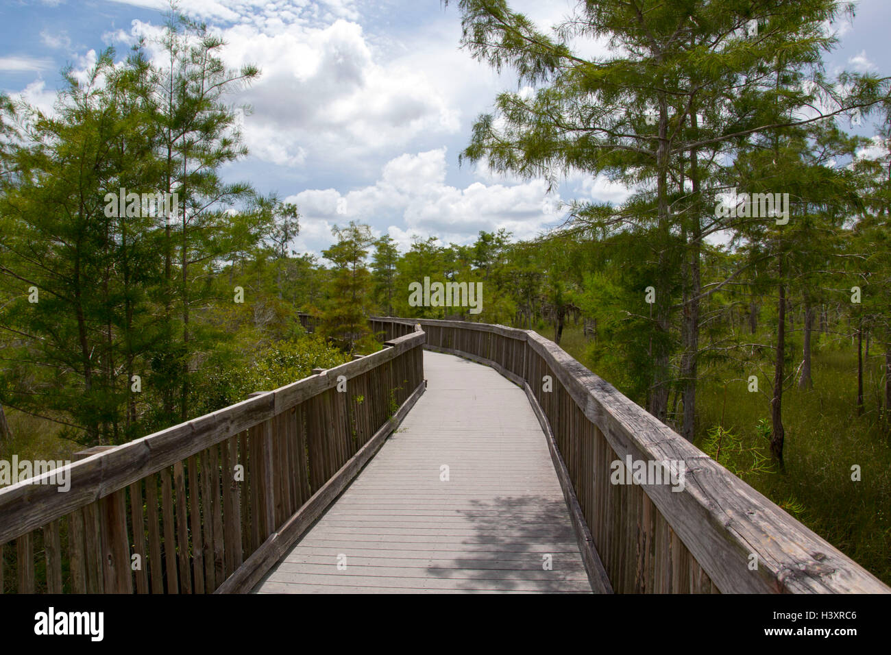 Grasslands everglades national park florida hi-res stock photography ...