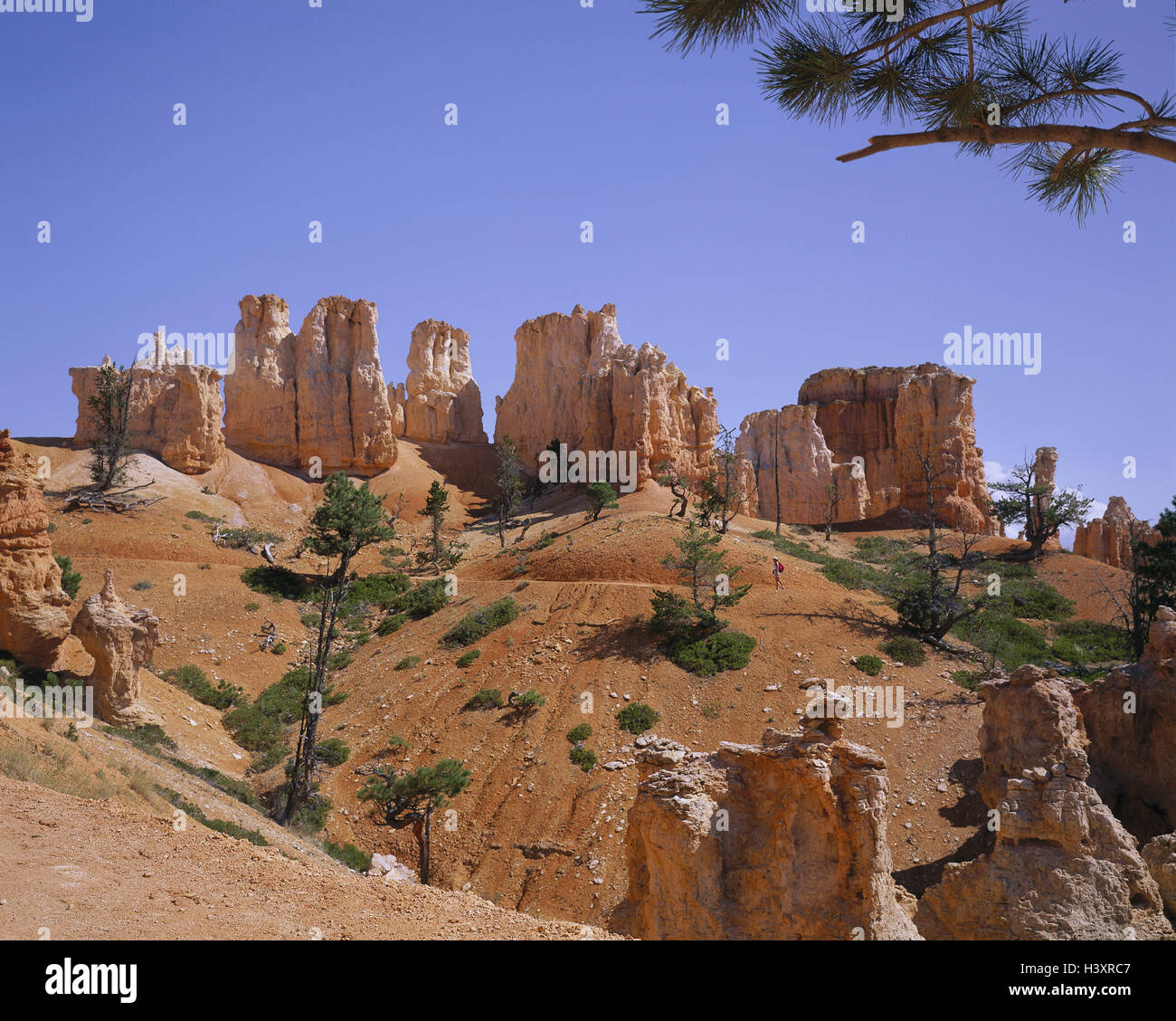 The USA' Utah, Bryce Canyon National Park, footpath "Navajo loop ...