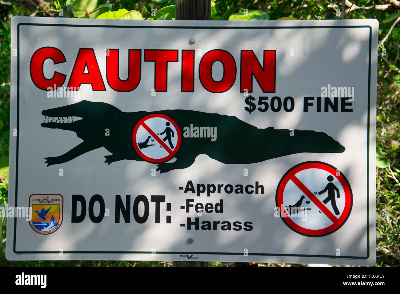 Alligators danger sign hi-res stock photography and images - Alamy