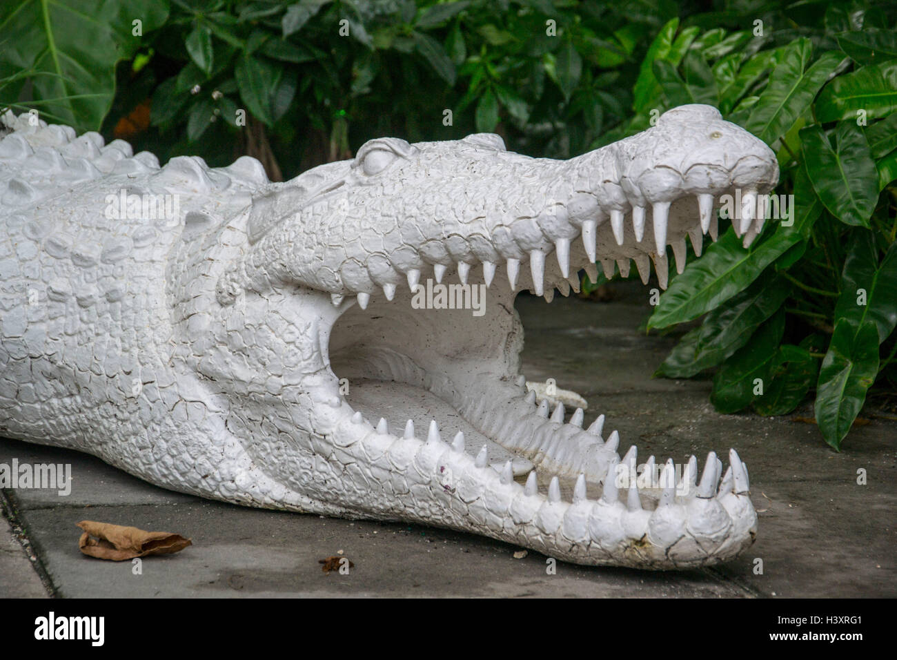 Gator Sculpture High Resolution Stock Photography and Images - Alamy