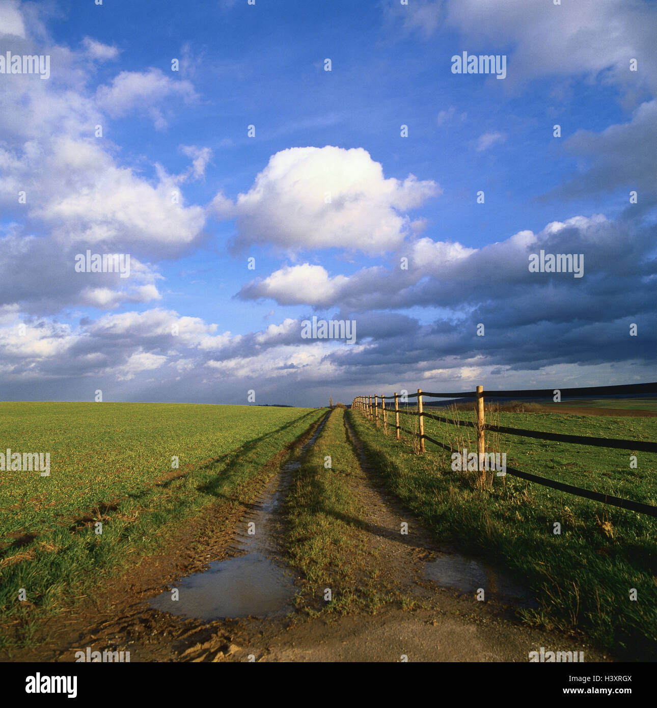 Lane puddle hi-res stock photography and images - Alamy