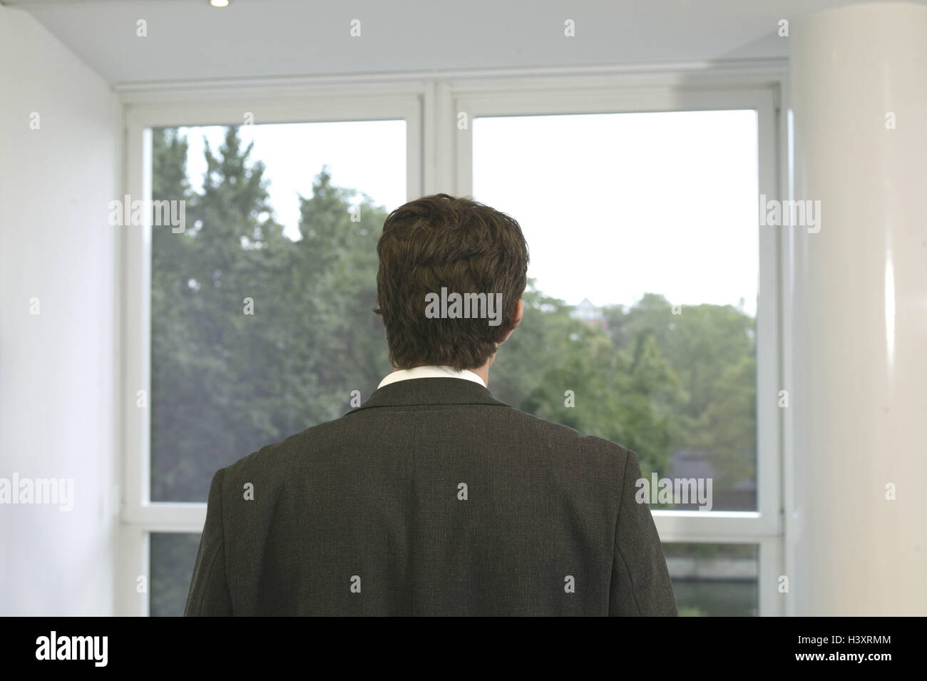Windows, man, view, back view, detail, flat, businessman, 30-40 years ...