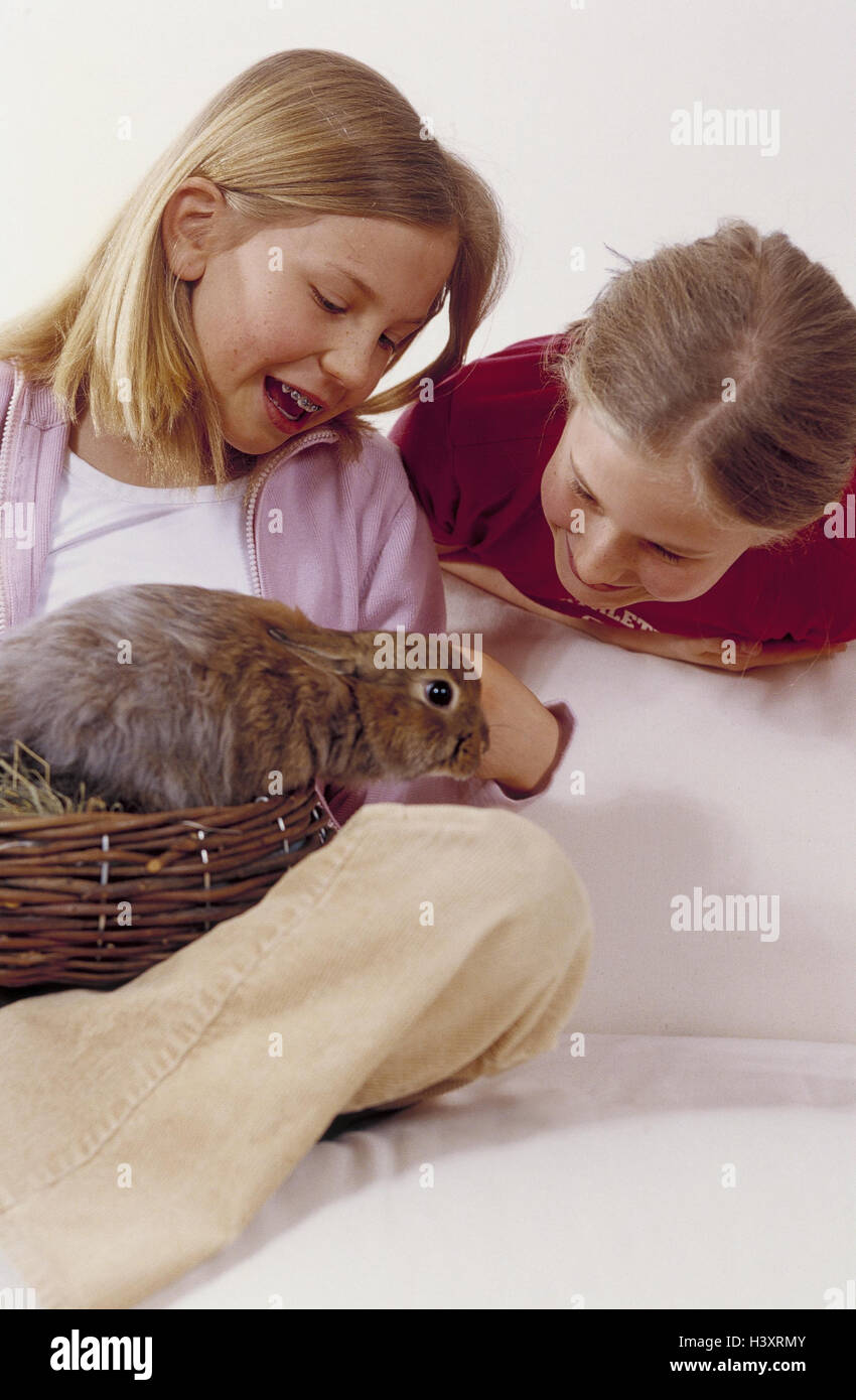 Children, girls, rabbits, observe childhood, friends, friendship ...