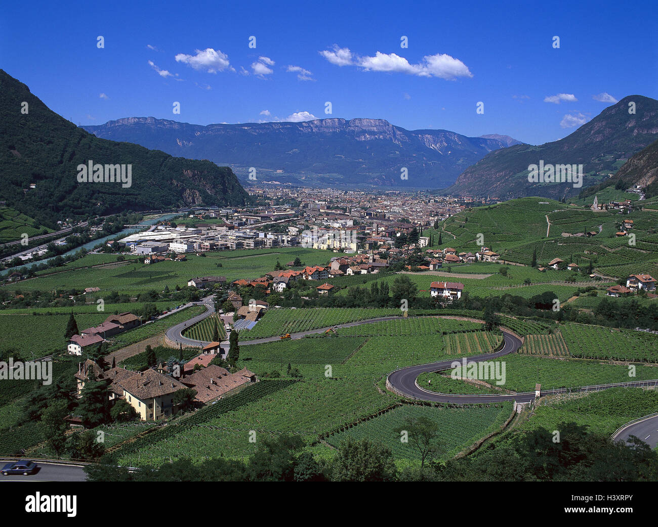 Italy, South Tyrol, Bolzano, town overview, vineyards, Europe, Northern ...