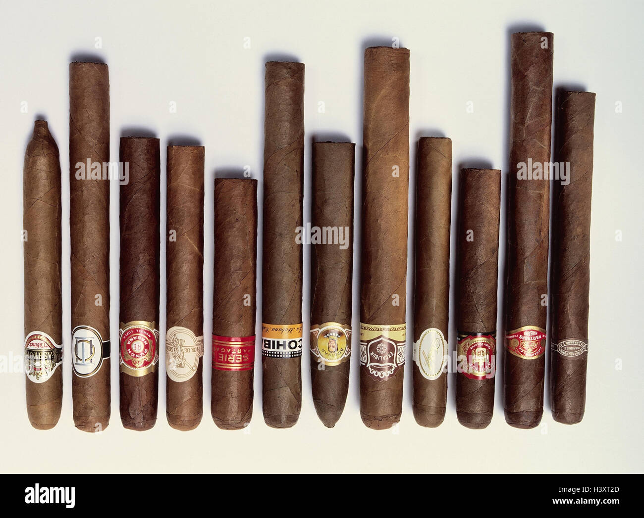 Cigars Sorts Differently Cigar Tobacco Luxury Nicotine Health