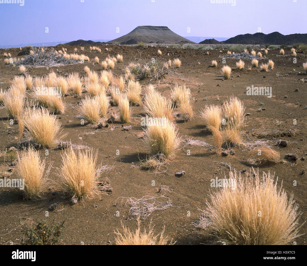 Namibia, small Karas' mountains, vegetation, scanty, Africa, desert ...