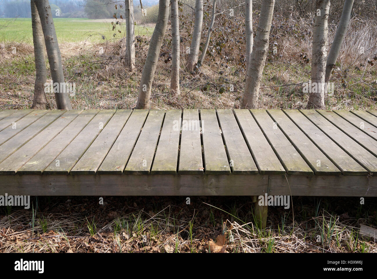 Wooden planks walkway hi-res stock photography and images - Alamy