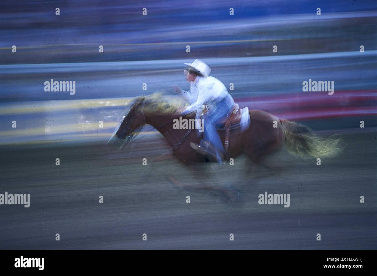 Canada, Alberta, rodeo, cowboy, horse, motion, manipulated ...