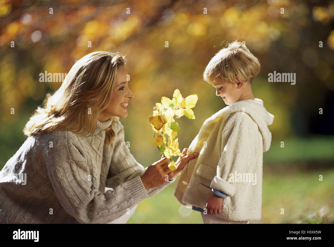 Nut, subsidiary, happily, walk, foliage, collect, autumn Stock Photo ...