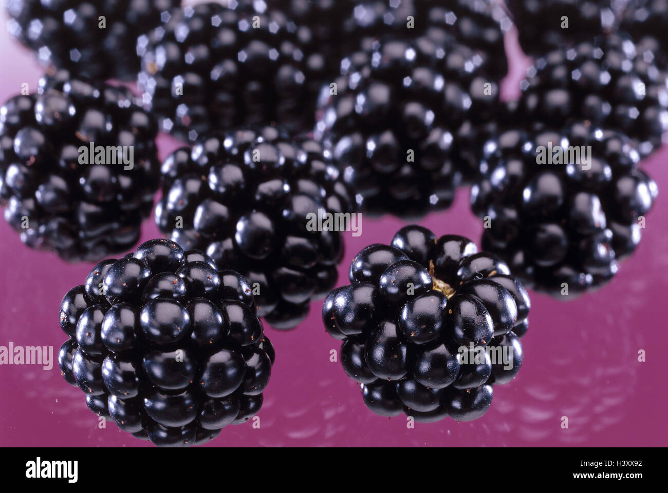 Blackberries, Rubus spec., berries, fruits, fruit Stock Photo - Alamy