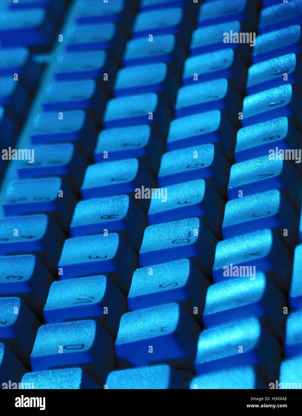 Computer Keyboard Detail Buttons Icon Input Input Hardware Keyboard Peripheral