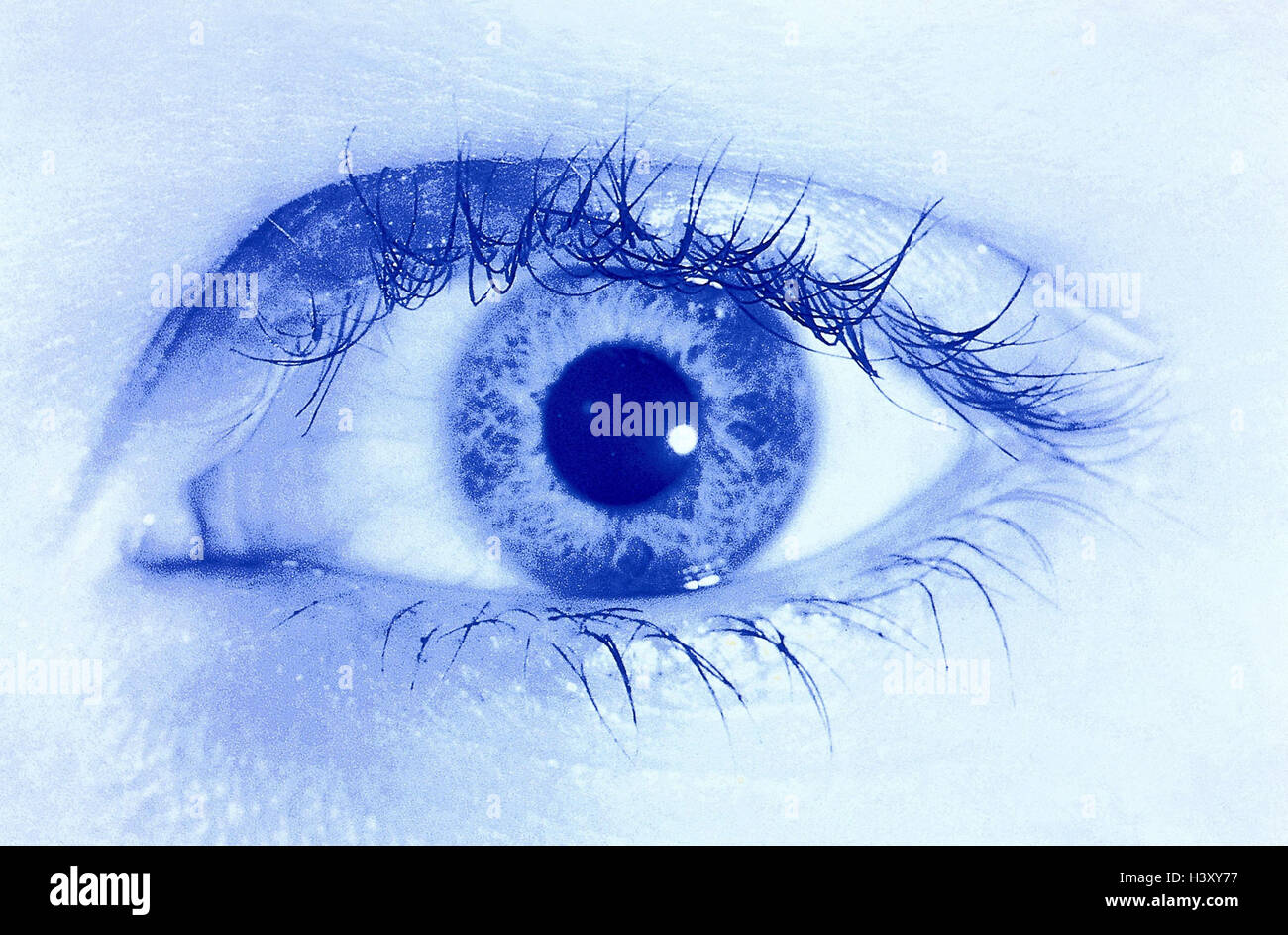 Eye see, visually, examination, foresight, view, search, orientation ...