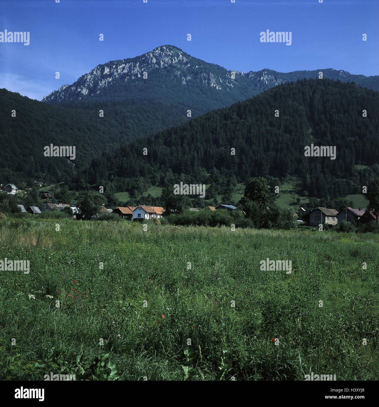 Slovakia, Tatragebirge, Liptovsky Mikulas, local view, meadow, Europe ...