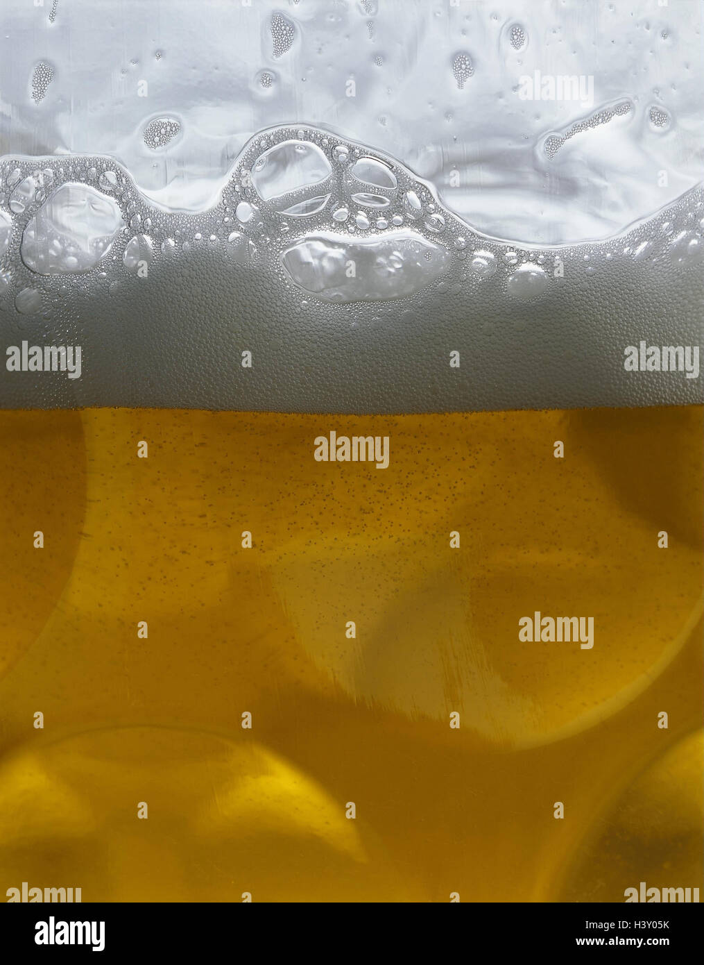 Beer, close up, Still life, drink, alcoholic, alcohol, froth, fungus ...