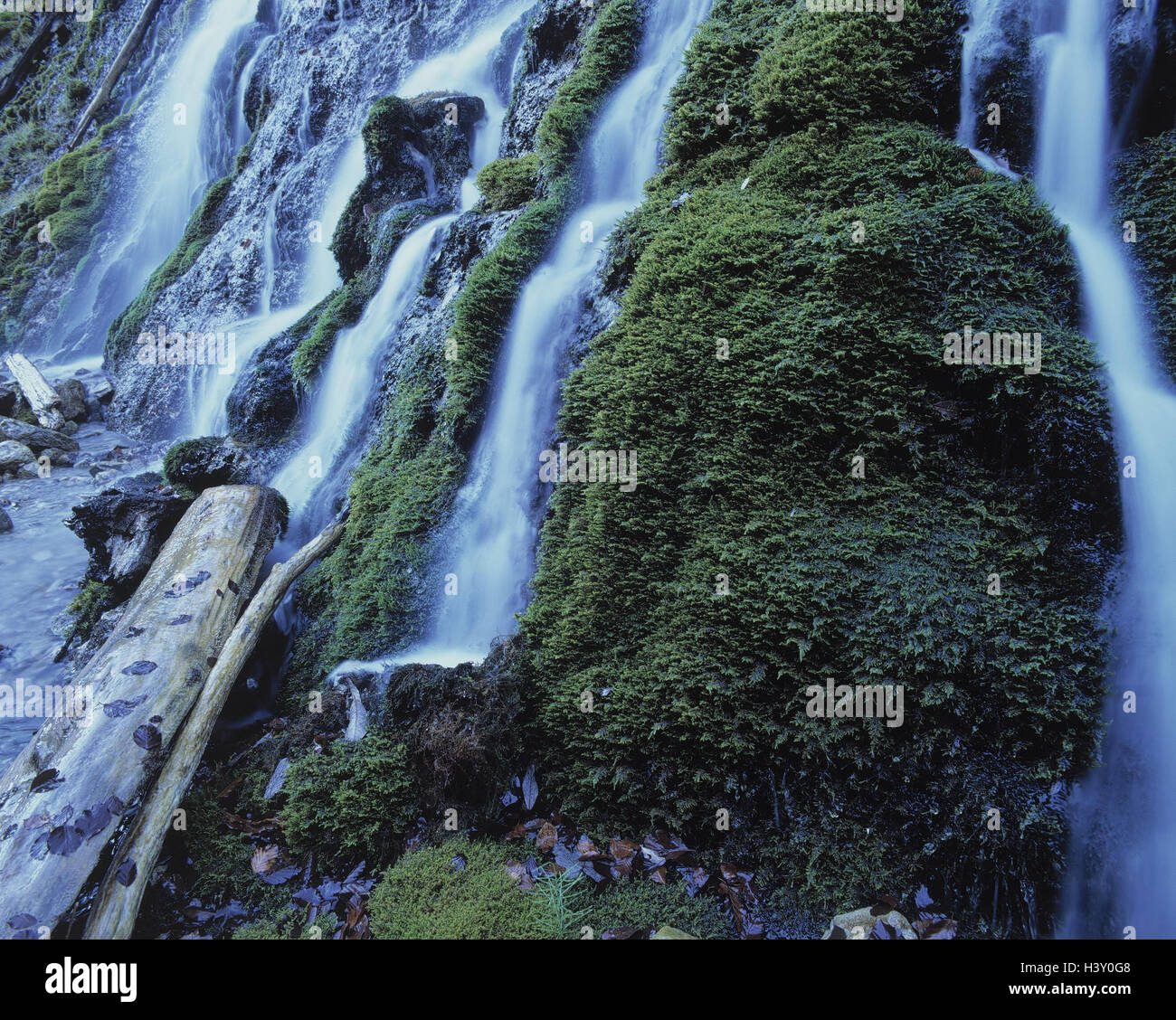 Mountain stream, rock, waterfall, detail, mountain brook, brook, water ...