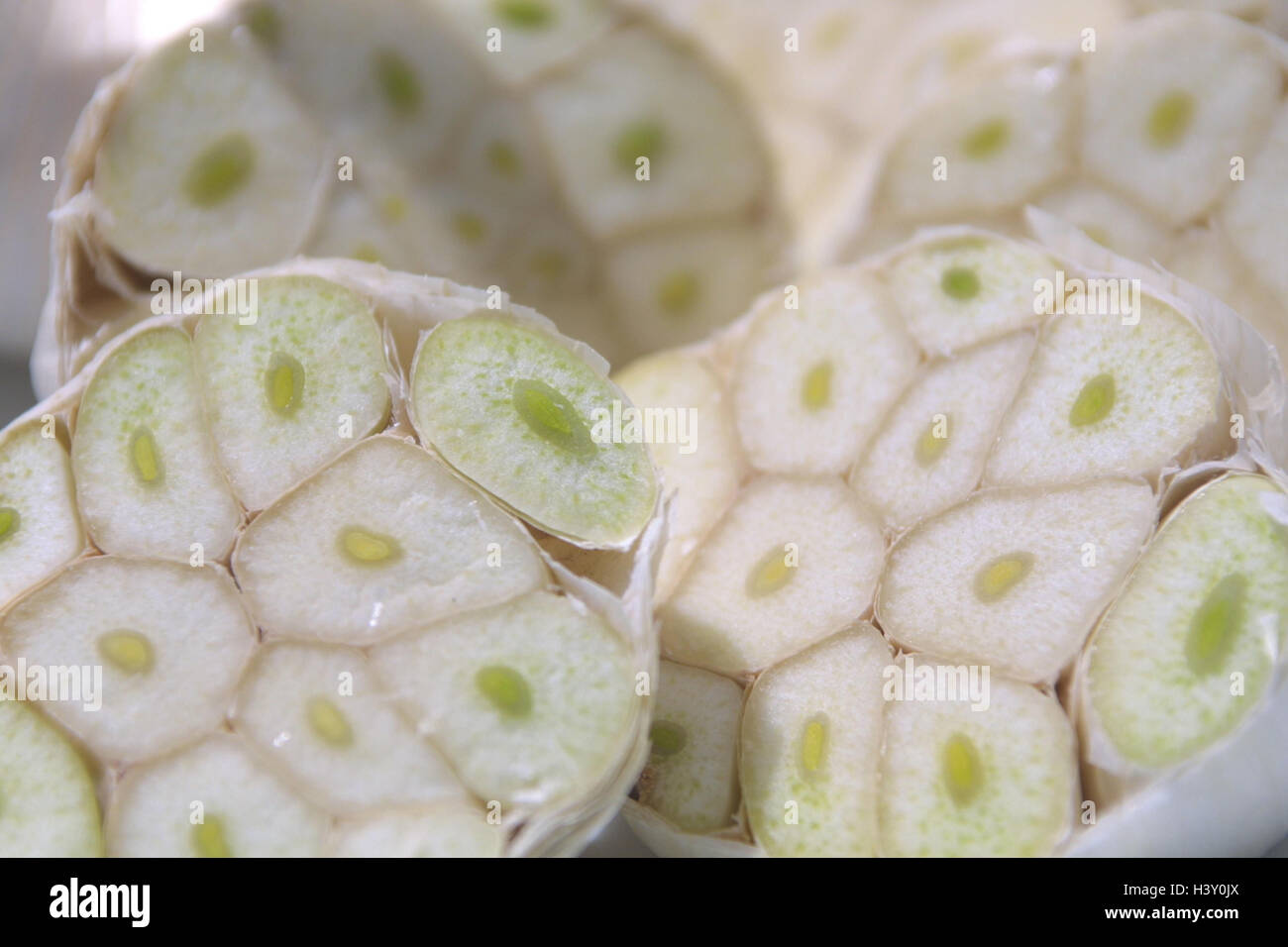 Garlic, Allium sativum, nodules, halves, Still life, garlic nodules ...