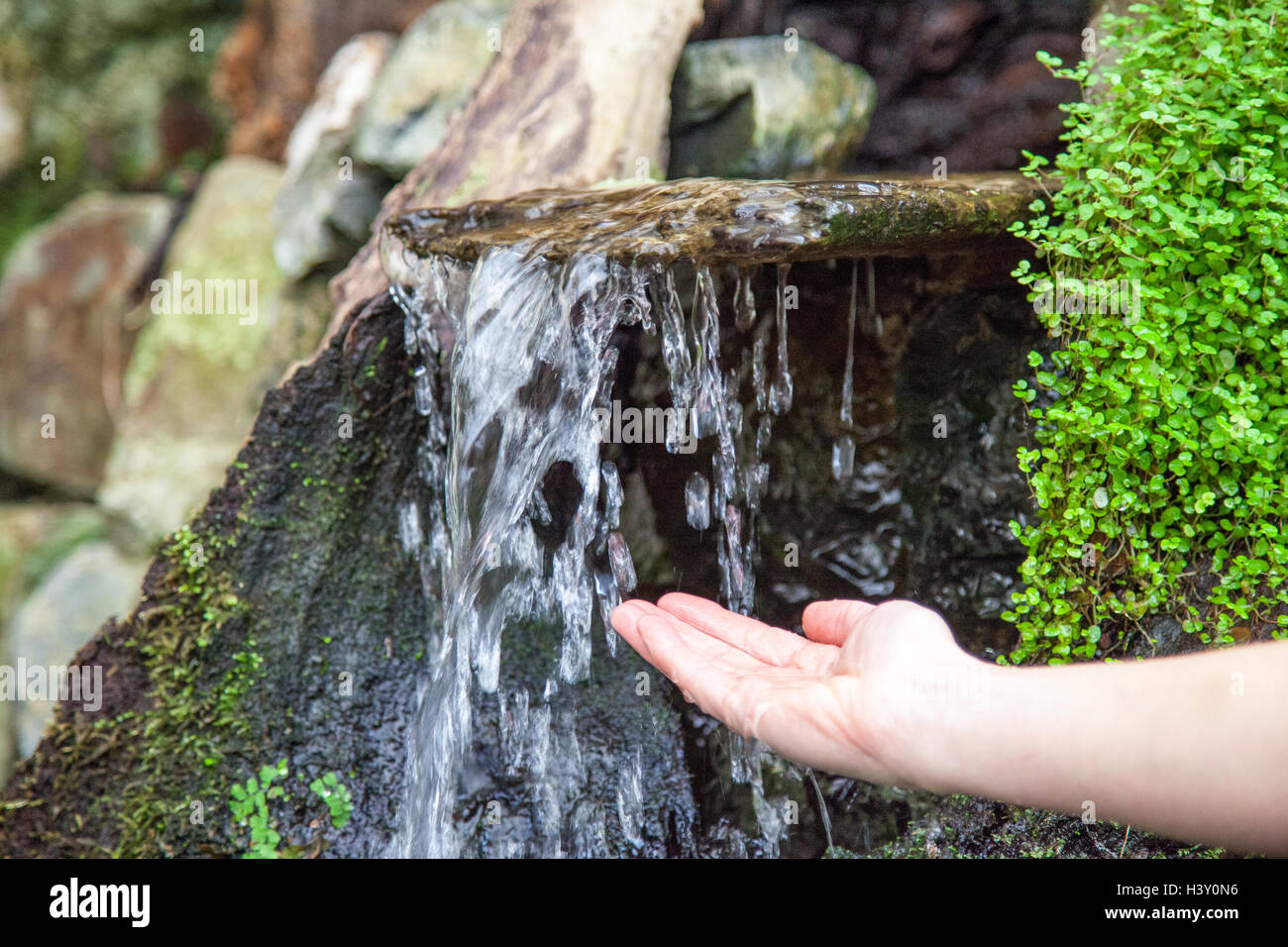 Hand under a small waterfall Stock Photo - Alamy