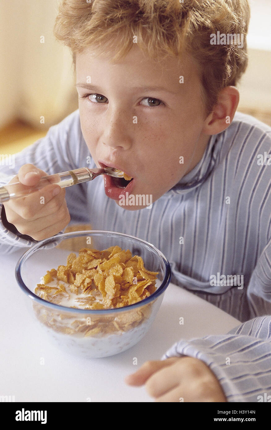 Table, boy, cornflakes, eat, portrait, sit inside, at home, child, red ...