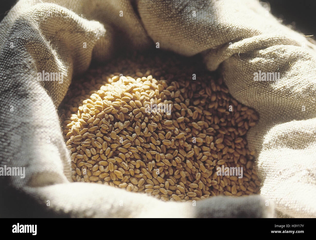 Pouch, grain, wheat, detail, cereals, jute pouch, wheat centre punch ...