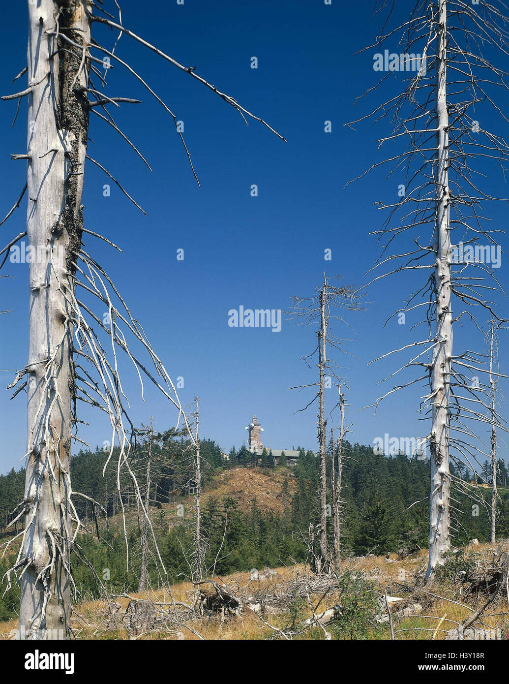 Germany black forest acid rain hi-res stock photography and images - Alamy