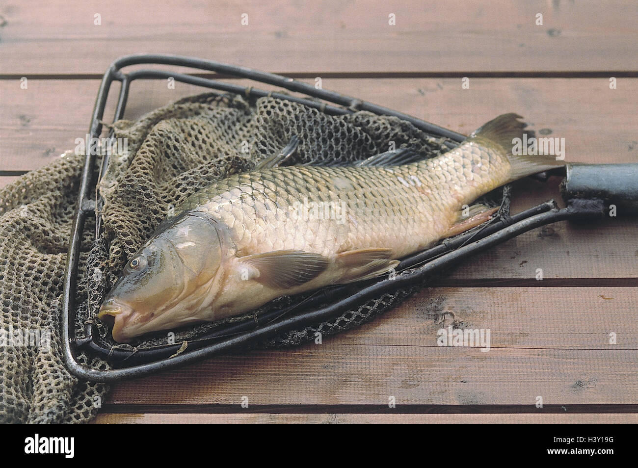 Kascher hi-res stock photography and images - Alamy