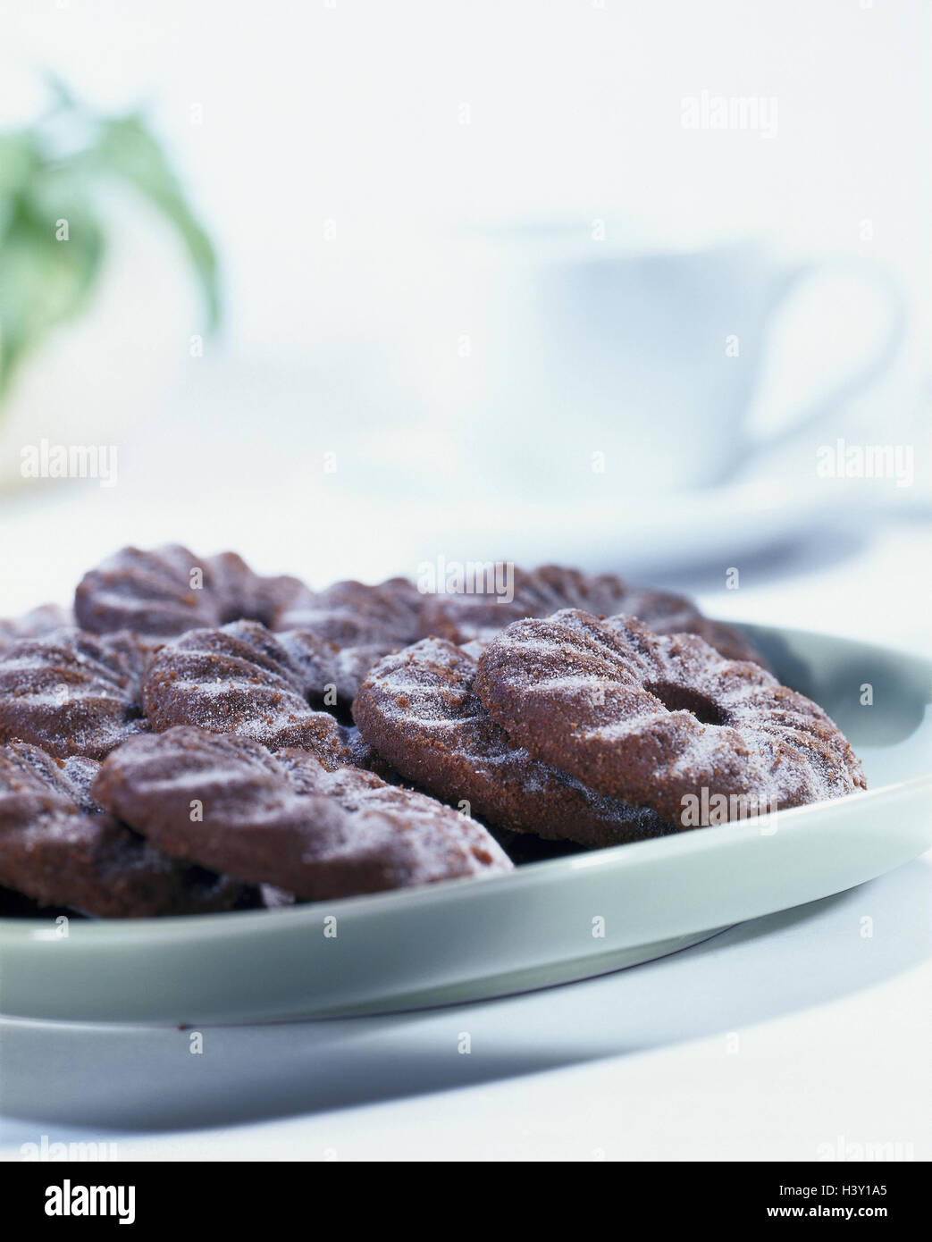 Plate, cake, Still life, product photography, coffee cake, small cake ...