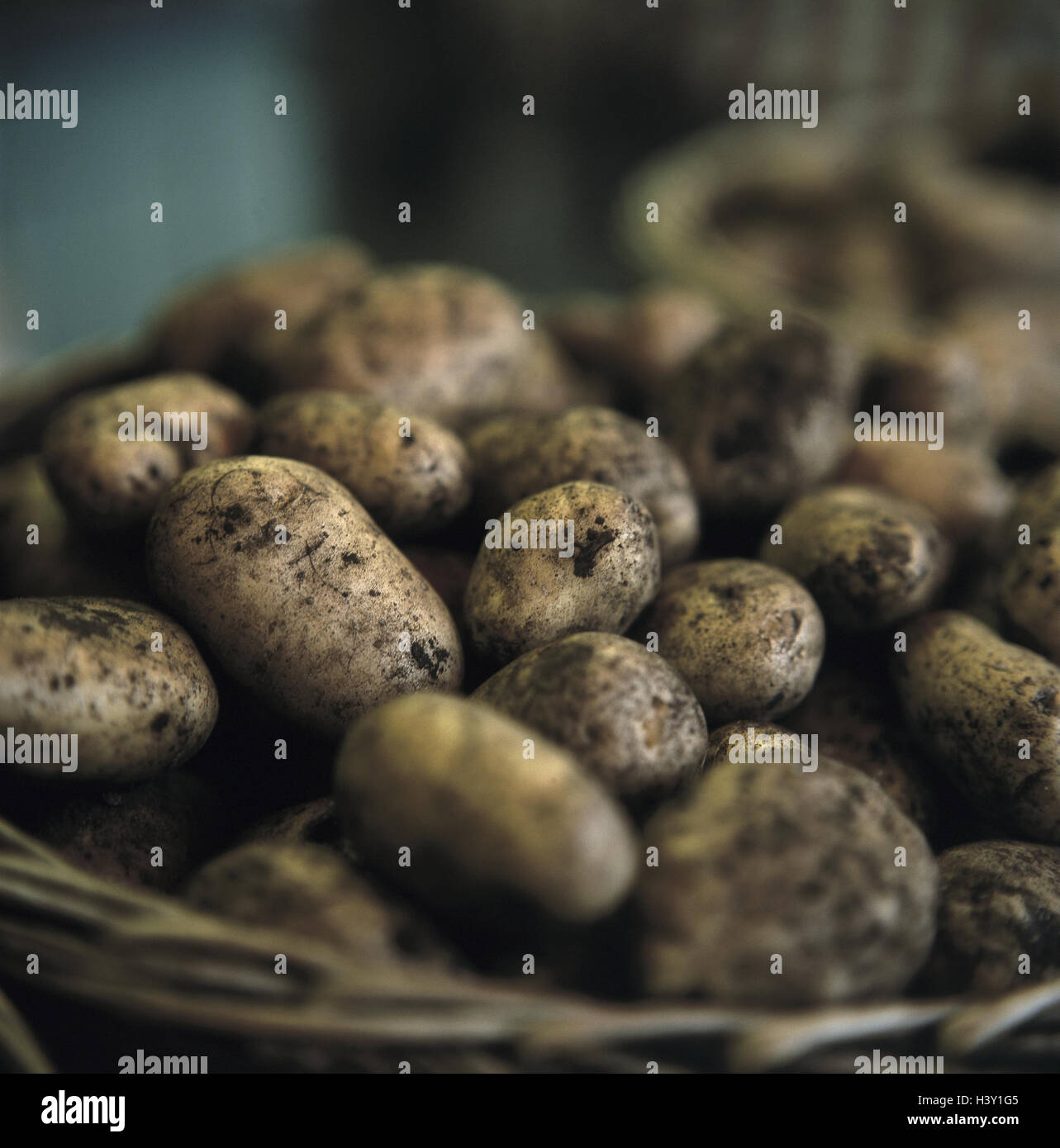 Rung nodules hi-res stock photography and images - Alamy