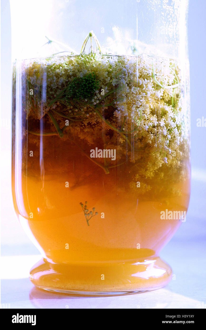 Glass, elder, flower decoction, Still life, product photography, flower ...