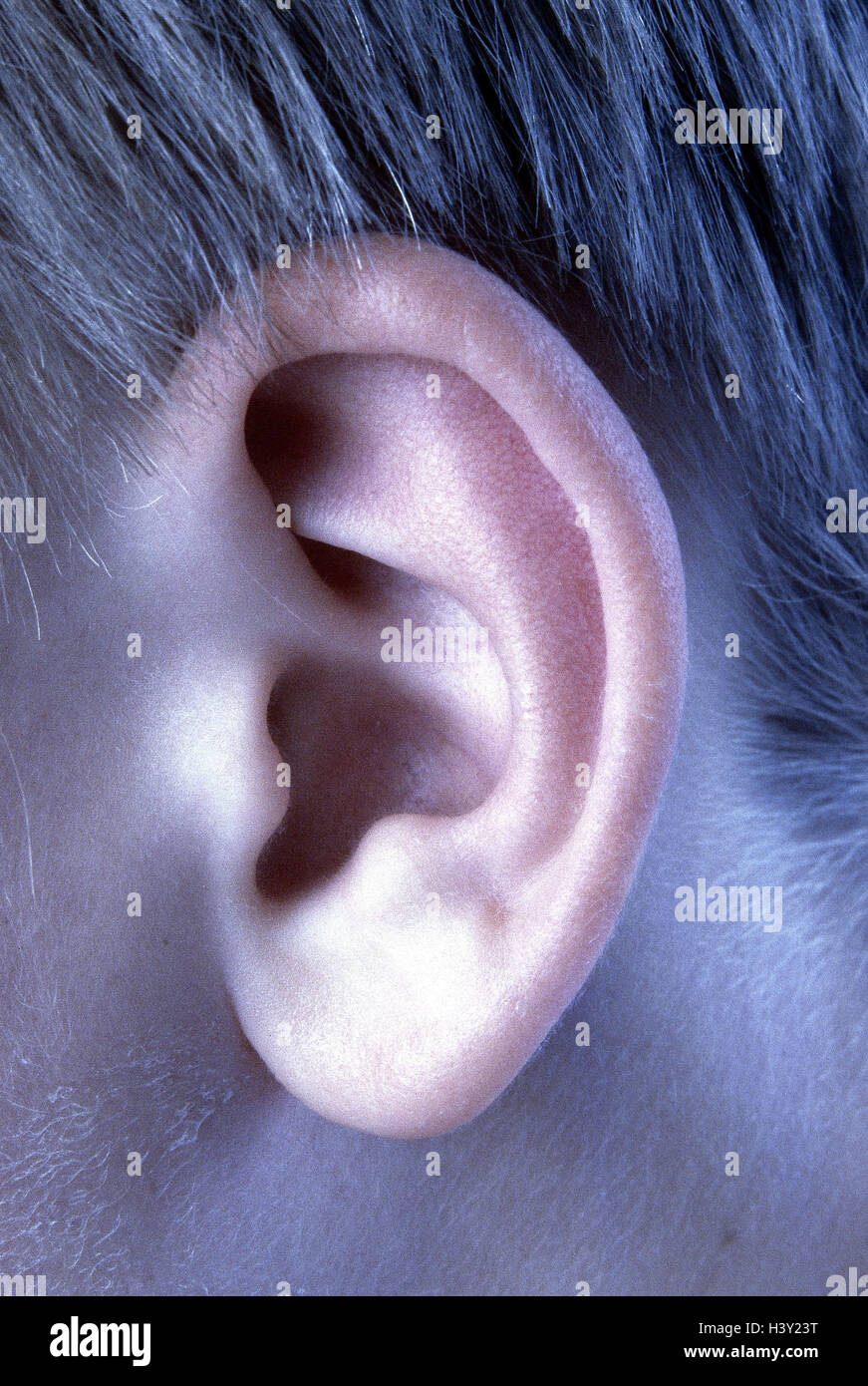 Child, ear, close up, model released, very close, boy, head, detail ...