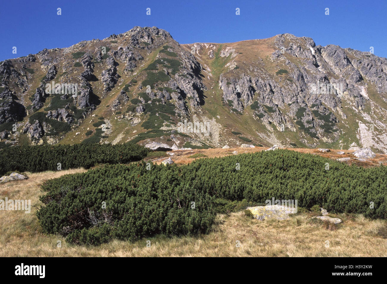 Slovakia, the high Tatra Mountains, Mlynicka valley, to mountain jaws ...