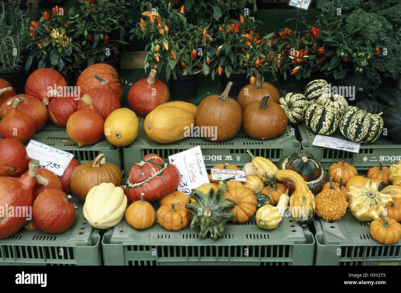 Market, vegetable state, pumpkins, differently market stall, weekly ...