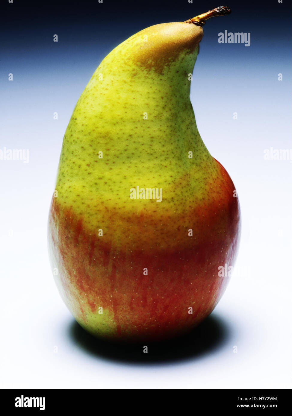 Genetic fruit, apple pear, icon, genetic engineering, Still life, fruit ...