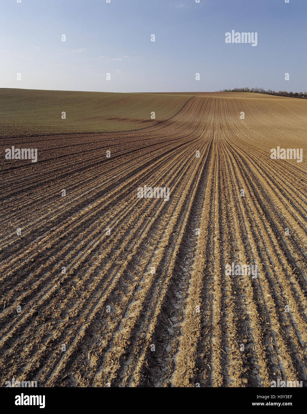 Scenery, field, field, agriculture, economy, floor, country living ...