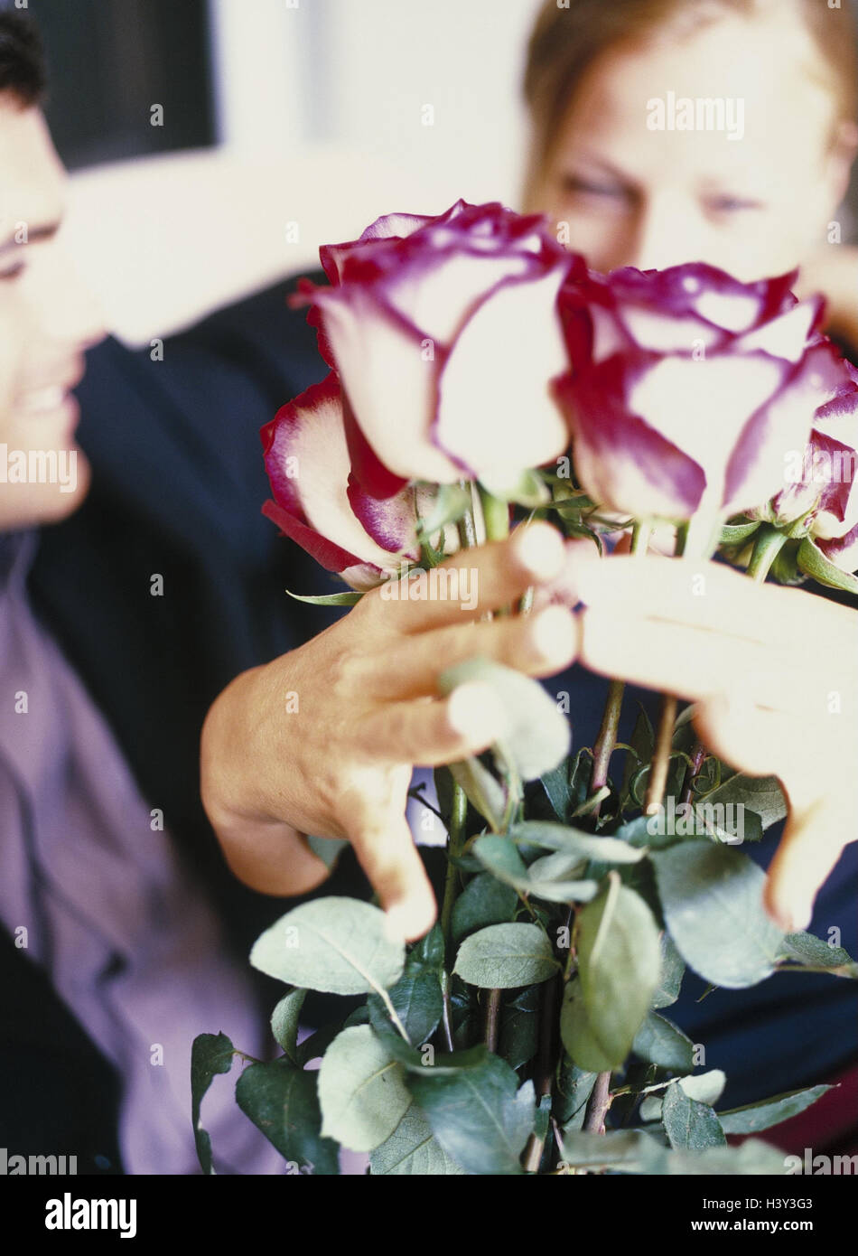Man, woman, roses, give, couple, love, partnership, respect, affection ...