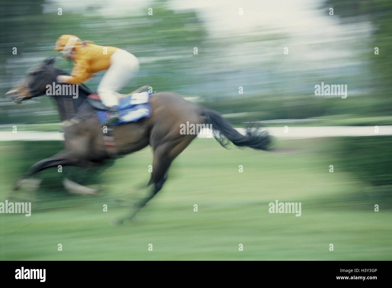 Gallop races, bleeds, blur, side view, racecourse, horse's racecourse ...