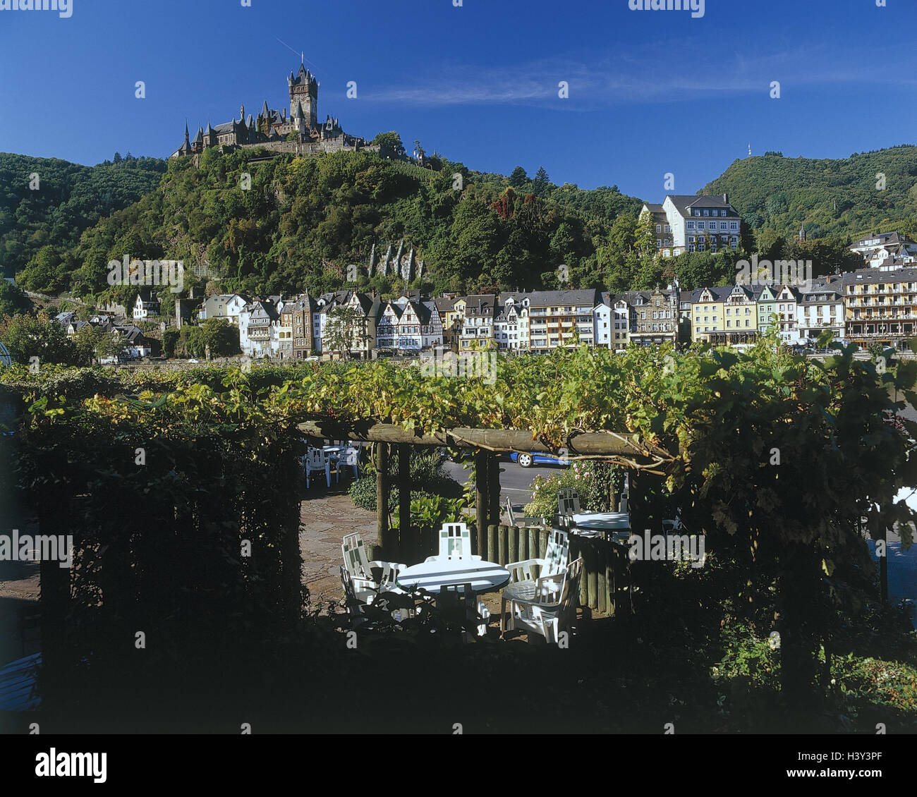 Weinlaufe hi-res stock photography and images - Alamy