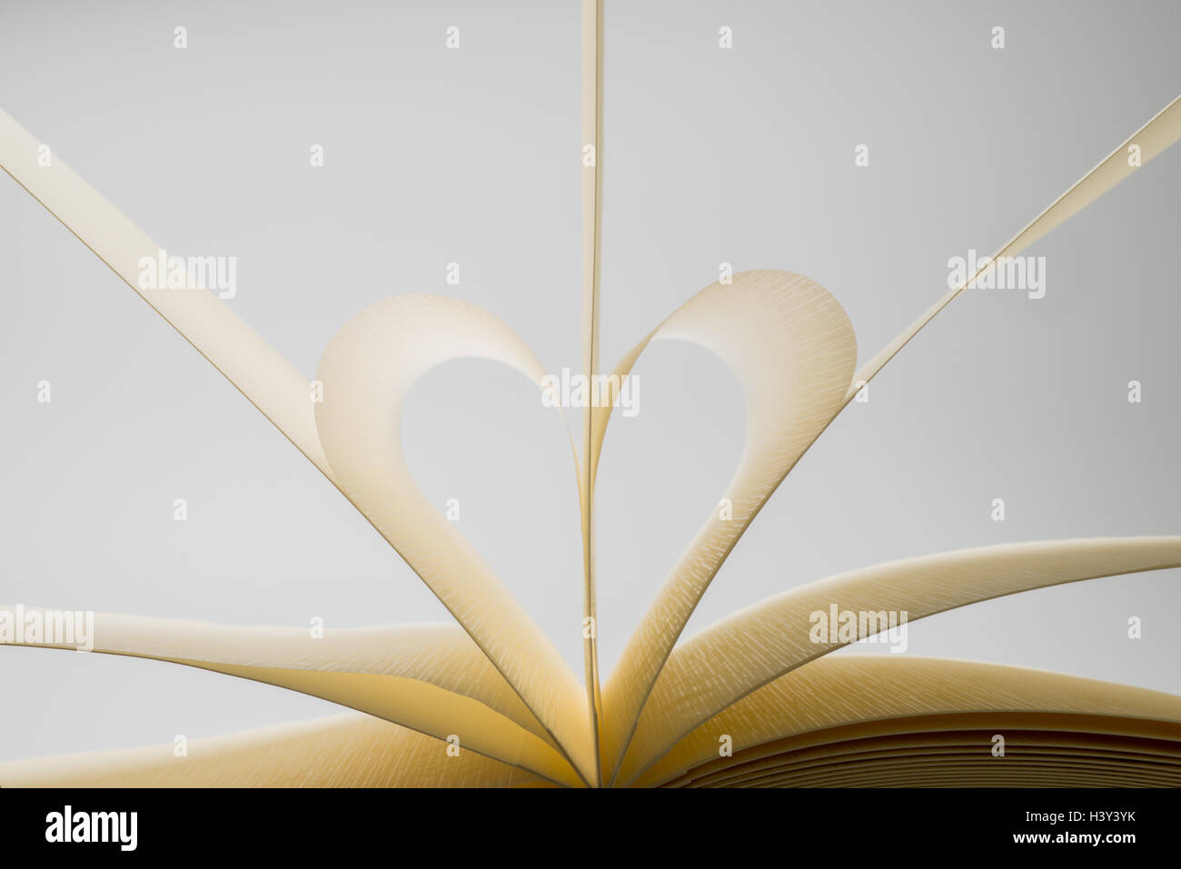 Book pages forming a heart shape over lighted white background Stock ...