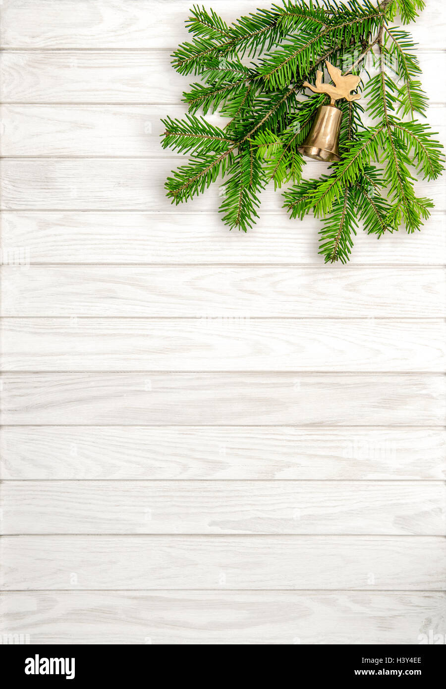 Undecorated christmas tree hi-res stock photography and images - Alamy
