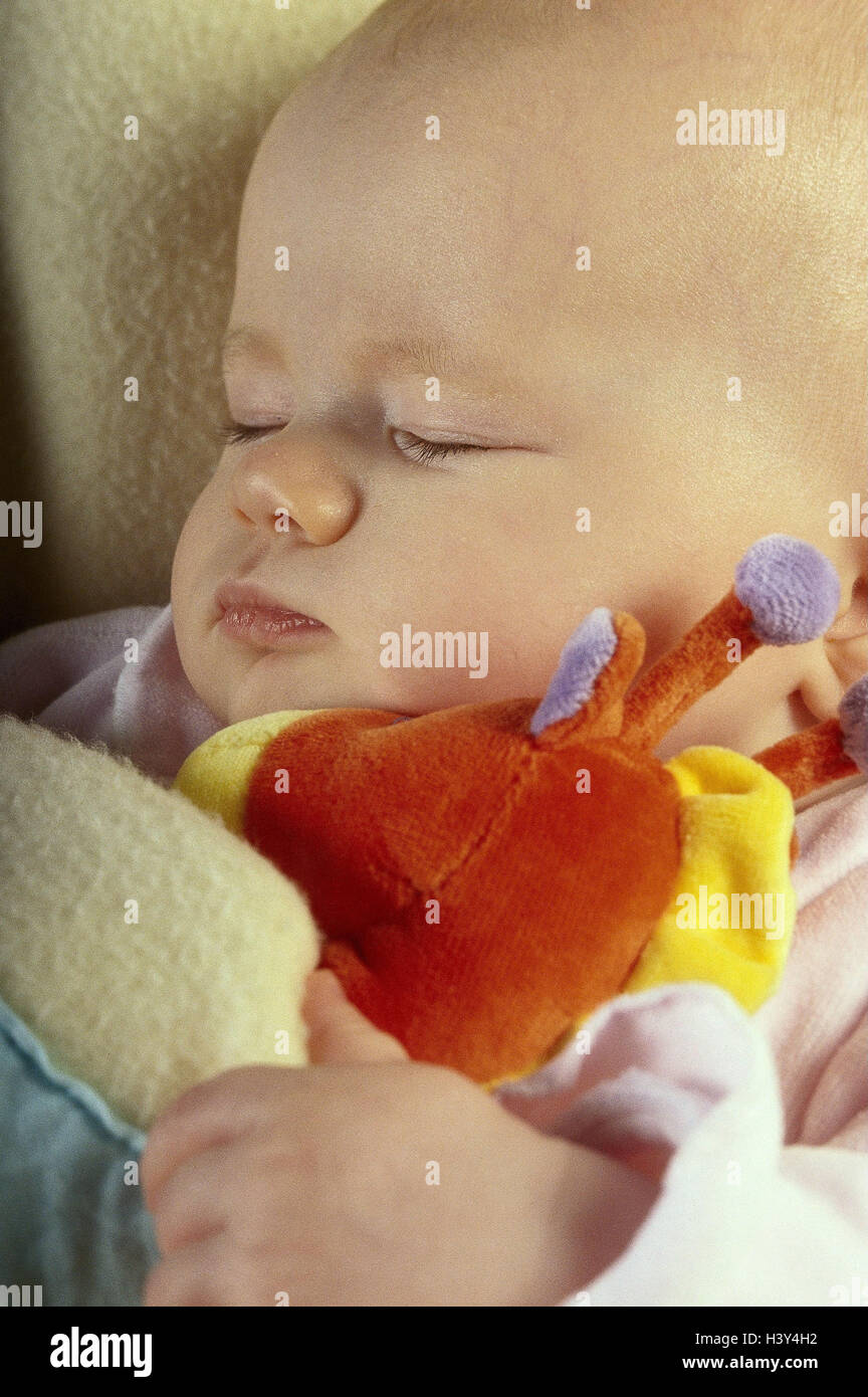 Baby, soft animal, sleep, page portrait, very close, inside, at home ...
