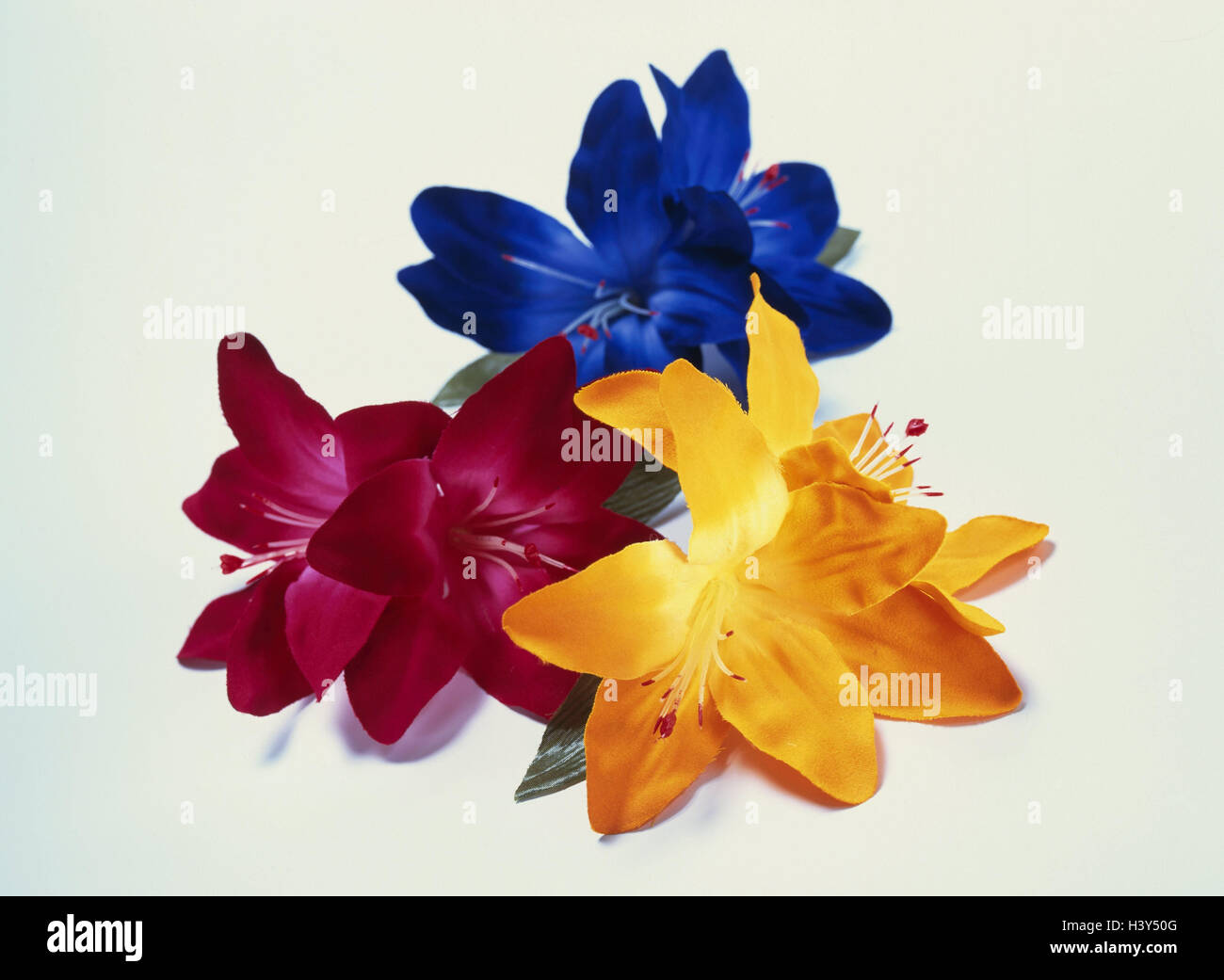 Substance blossoms, colours, different studio, cut out, Still life ...