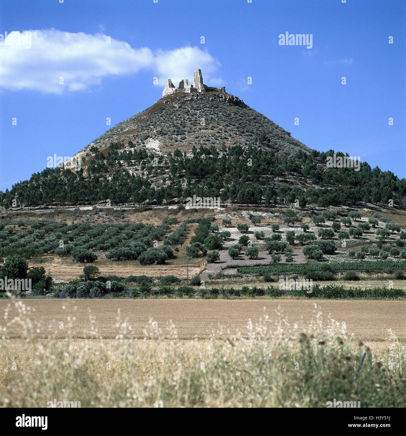 Comune tu reading plassas hi-res stock photography and images - Alamy