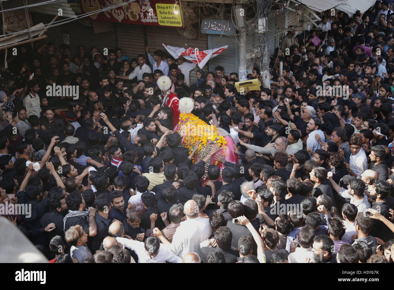 Ashura procession horse hi-res stock photography and images - Alamy