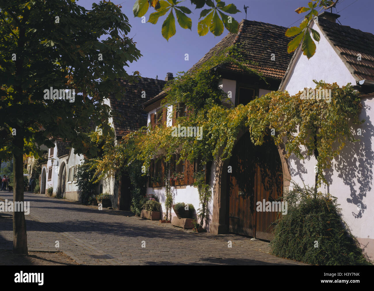 Rhodt hi-res stock photography and images - Alamy