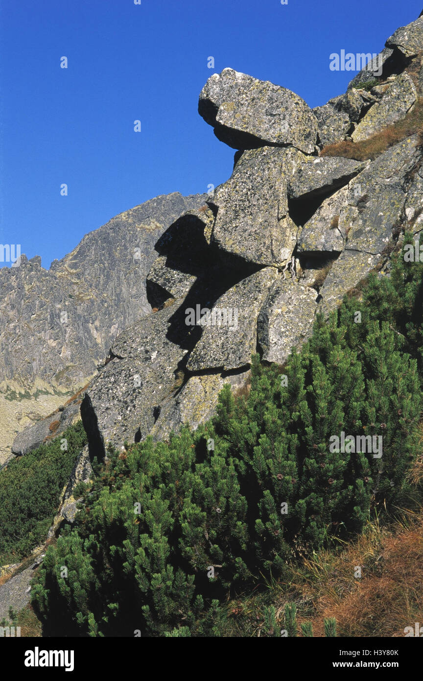 Slovakia, the high Tatra Mountains, Mlynicka valley, granite rock ...