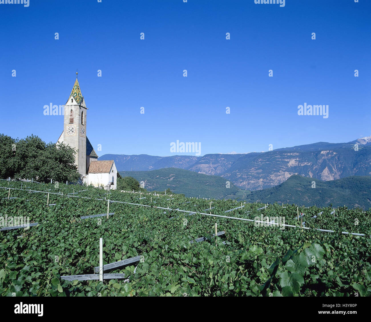 Italy, South Tyrol, Kalterer lake, viticulture church, wine-growing ...
