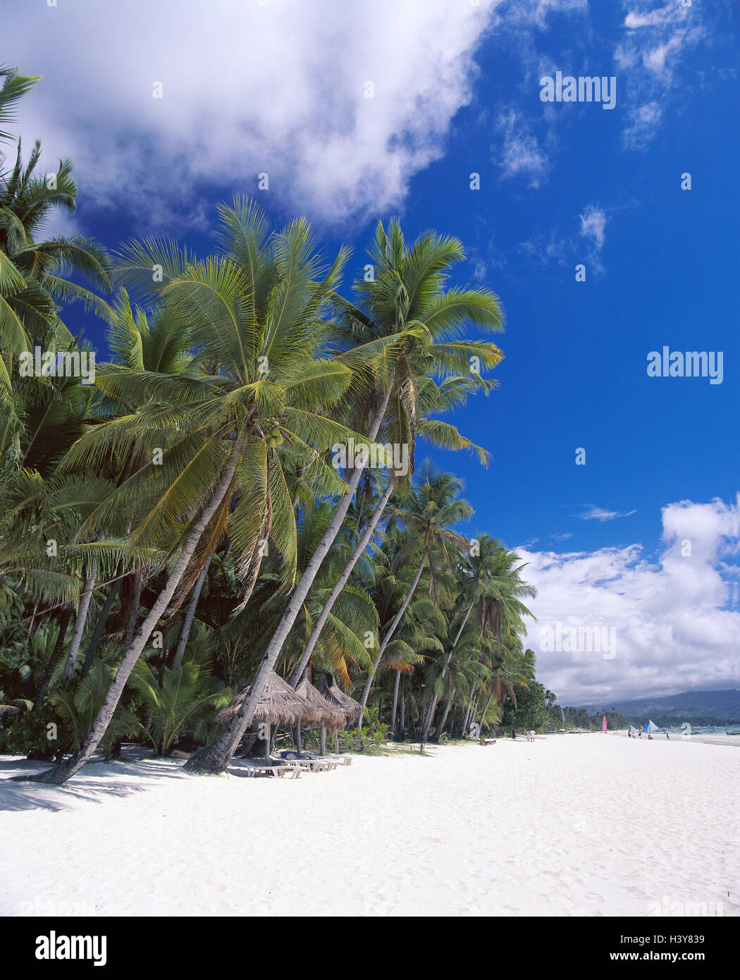The Philippines, Visayan Iceland, Boracay, sea, palm beach, tourist ...